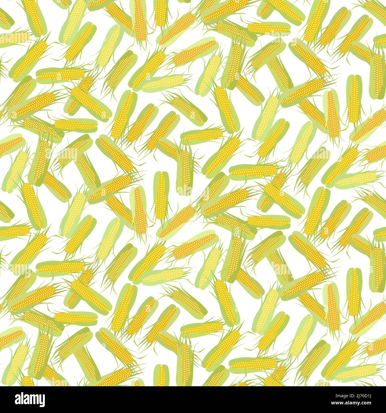 Corn, maize cobs. Seamless pattern of ripe corn cobs on white ...
