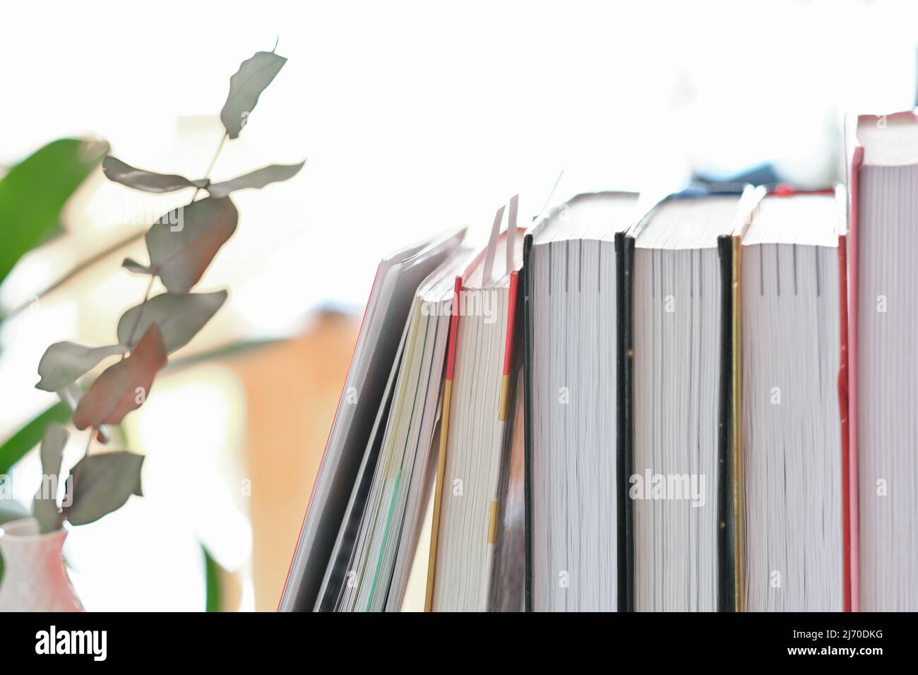 close up view of books in a row and green plants. home library, paper ...