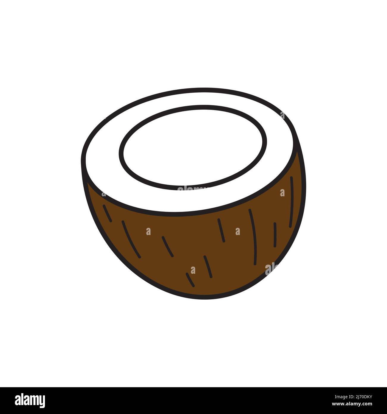 coconut isolated on white background. vector illustration of colorful ...