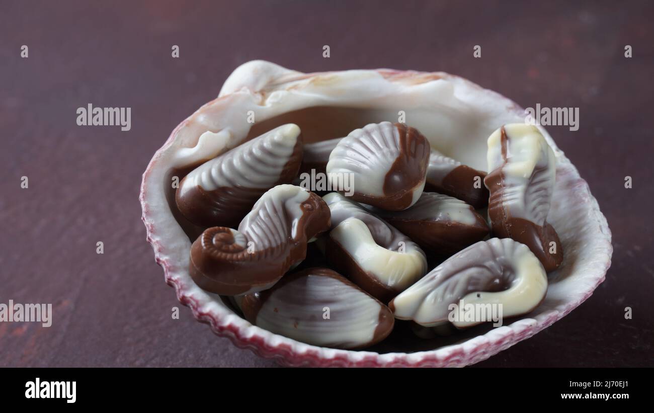 Belgian seashells traditional chocolate candies. Belgian milk chocolate ...