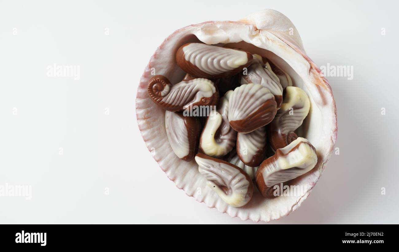 Belgian seashells traditional chocolate candies. Belgian milk chocolate ...