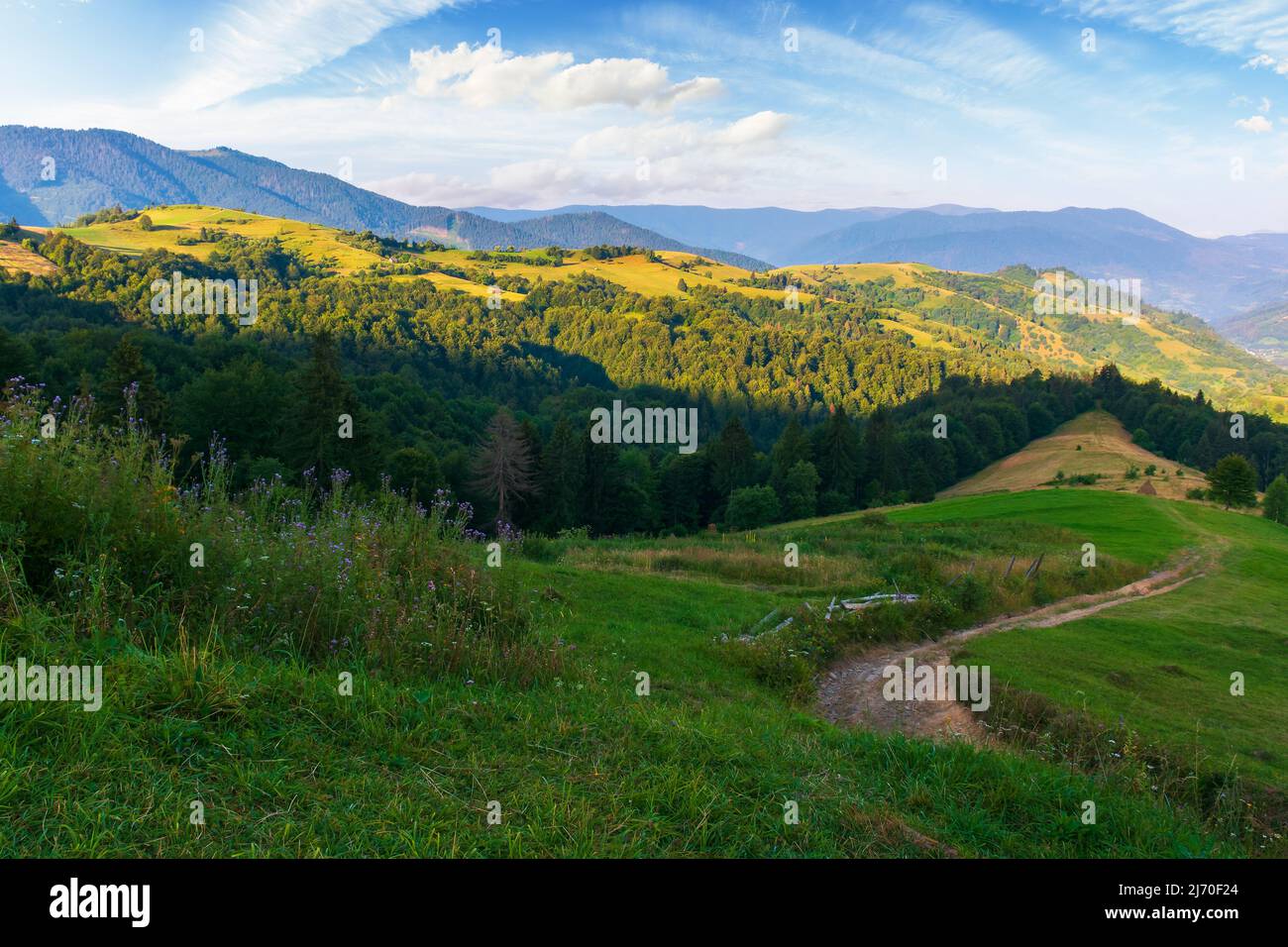 mountainous countryside landscape in the morning. path down the hill in ...