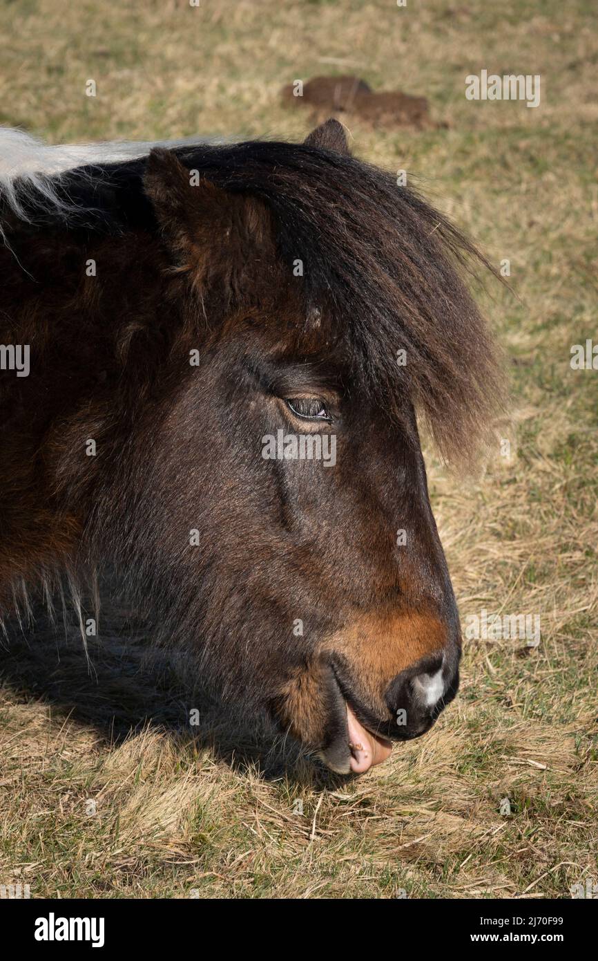 Animal habitat management hi-res stock photography and images - Alamy