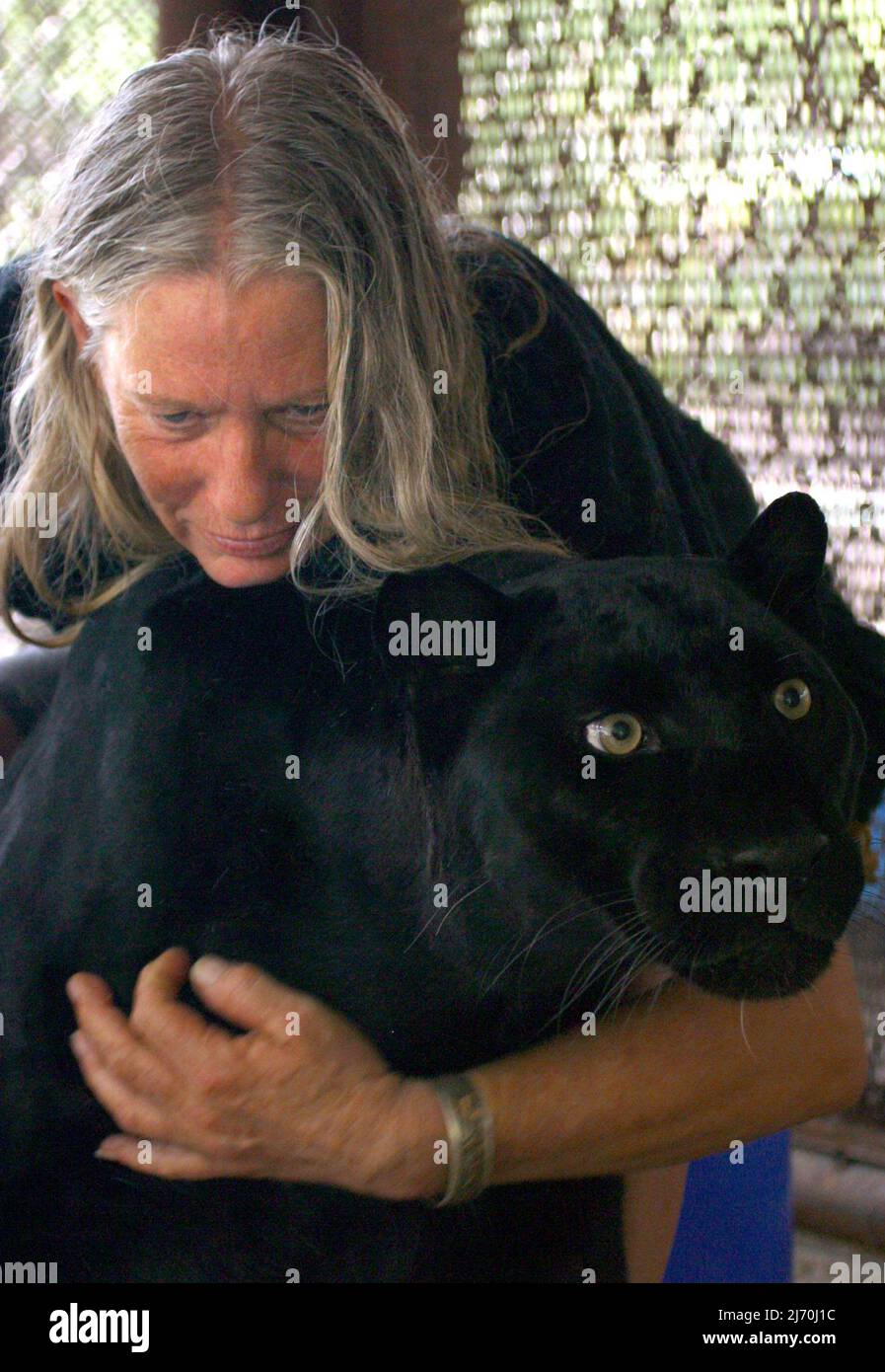 Woman with tame panther hi-res stock photography and images - Alamy