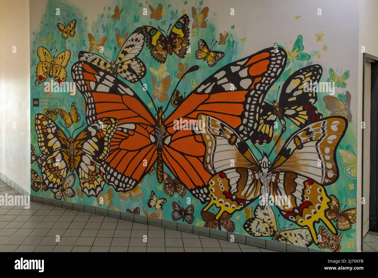 Inside Market Square Wall Mural Art, Geelong, Victoria, Australia Stock ...