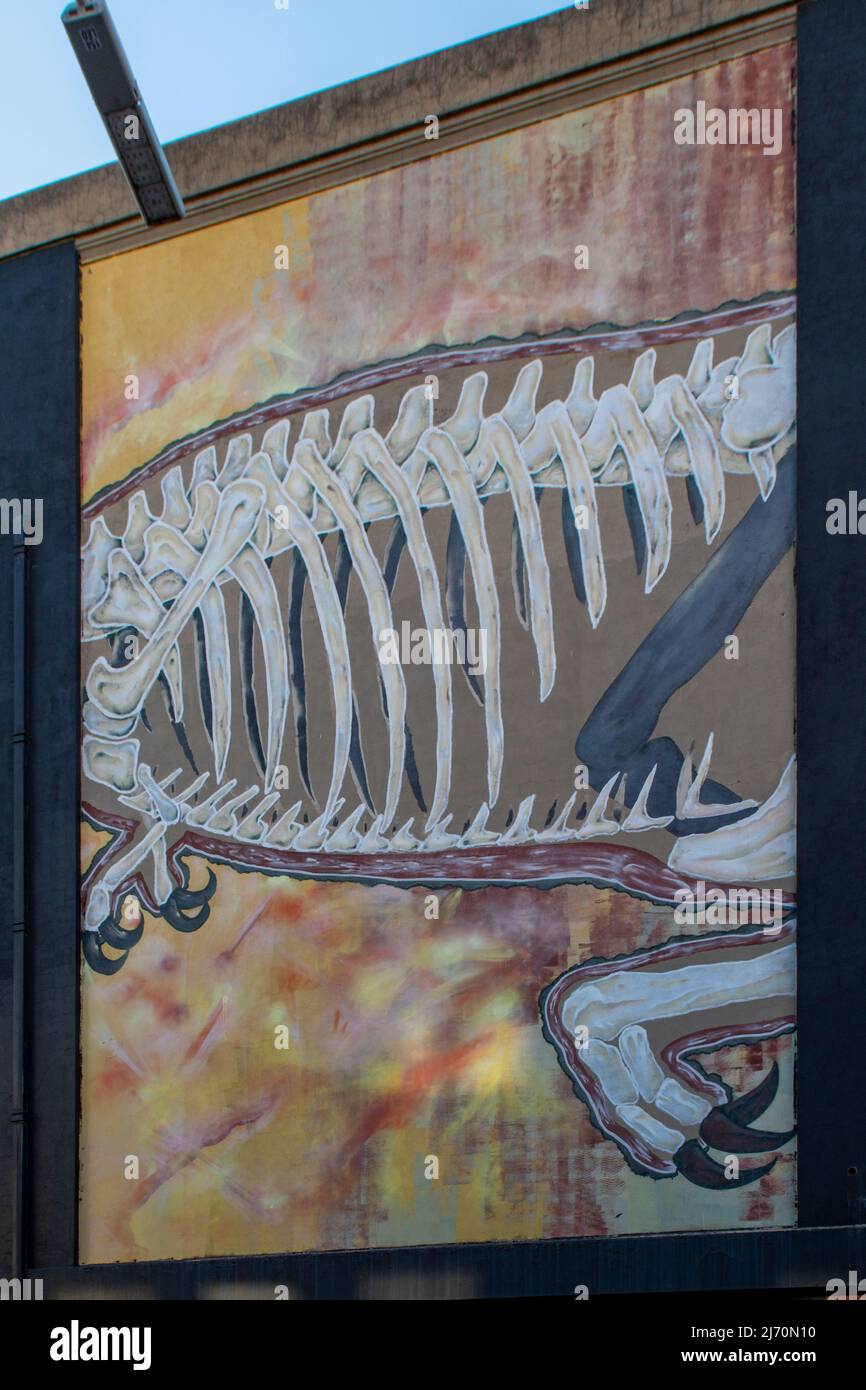 Skeleton Street Art, Union St, Geelong, Victoria, Australia Stock Photo ...