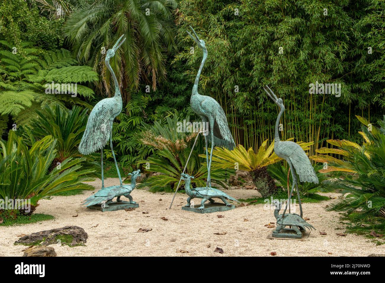 Botanical Gardens, Geelong, Victoria, Australia Stock Photo - Alamy