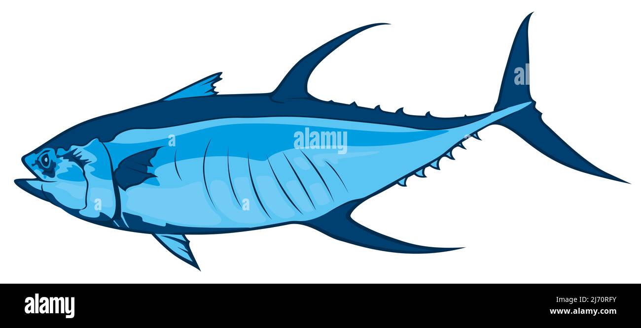 Drawing of Tuna Fish in Blue Tones Stock Vector Image & Art - Alamy