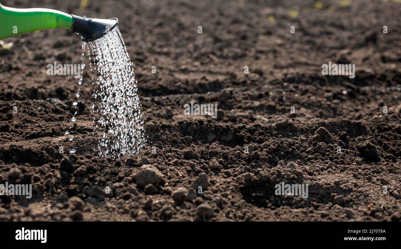 A rural workaholic waters the ground with water from a sprinkler Stock ...