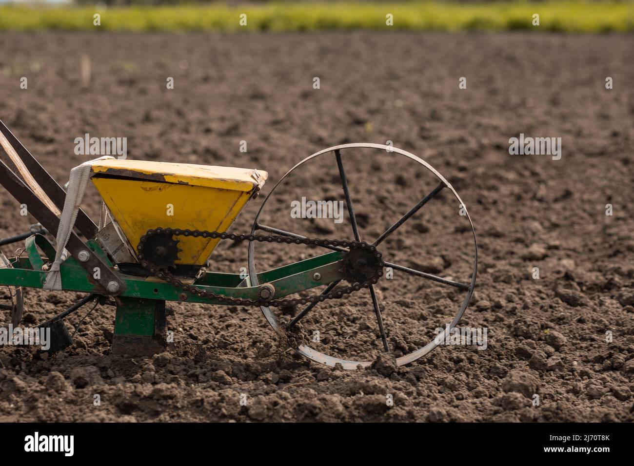 Seeder for beetroot manual single-row in the garden. Agriculture ...