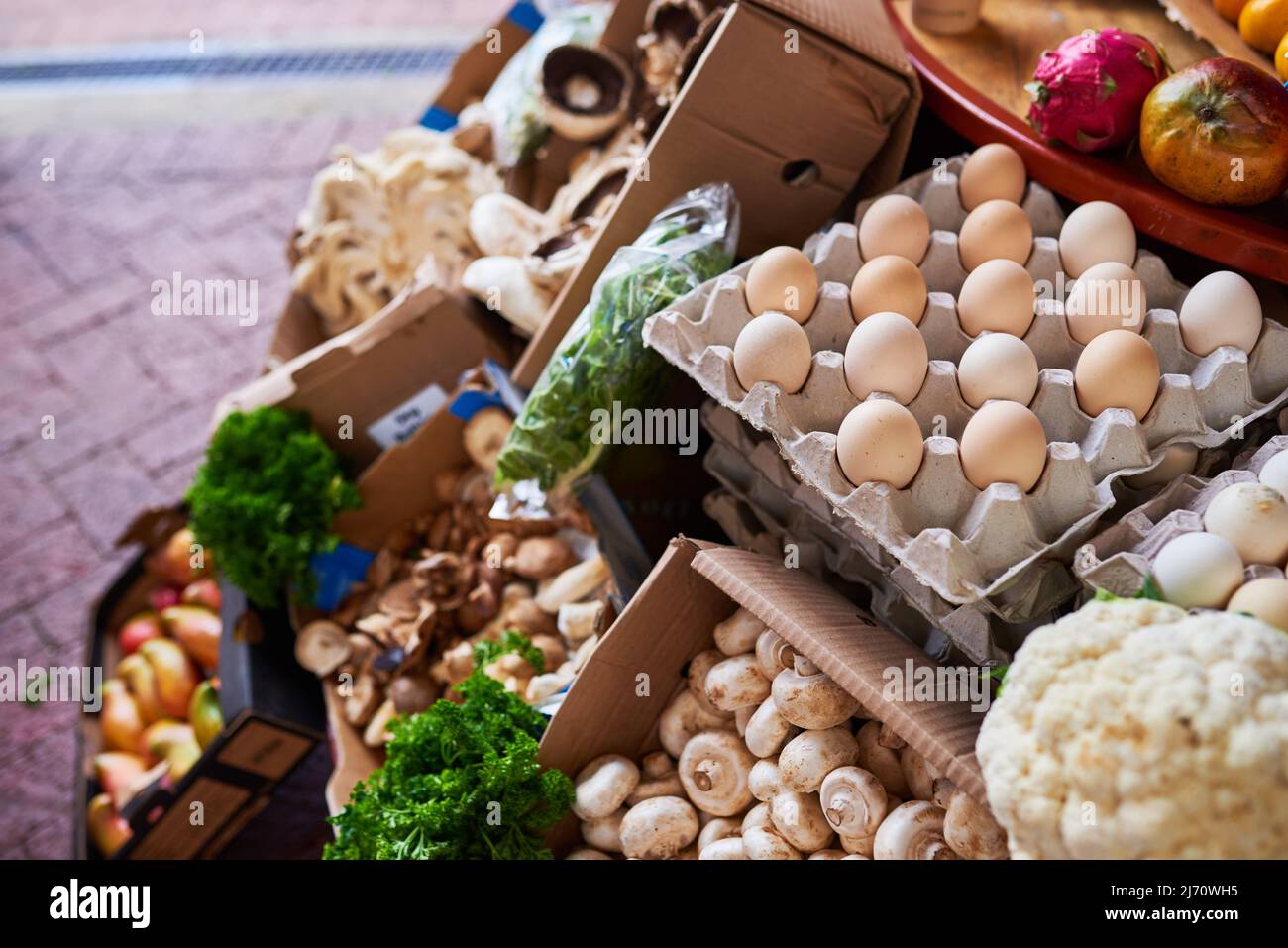 Cardboard stand hi-res stock photography and images - Alamy