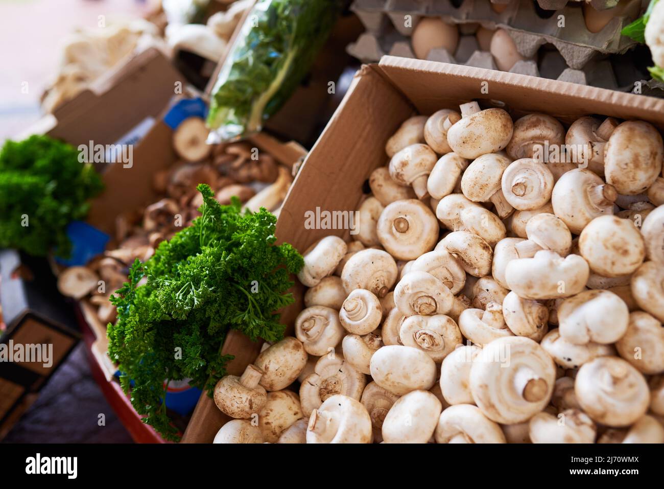 A box of fresh button mushrooms at a farmers market with parsley Stock ...