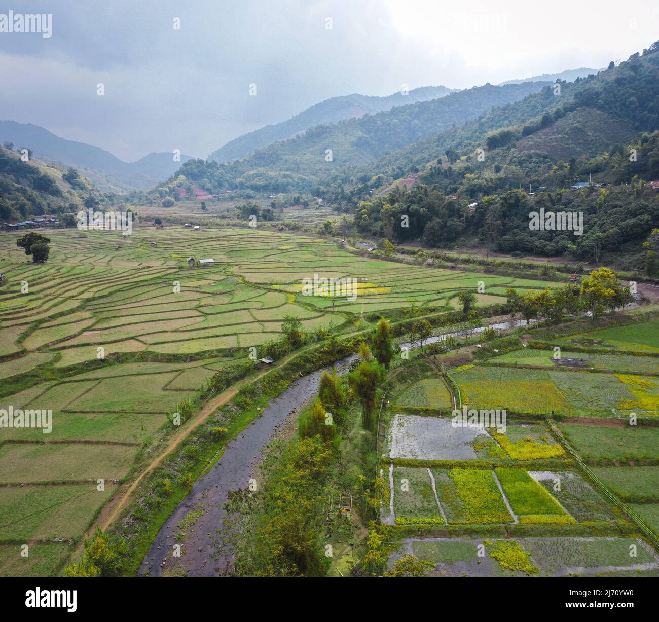 Wat ban wen hi-res stock photography and images - Alamy