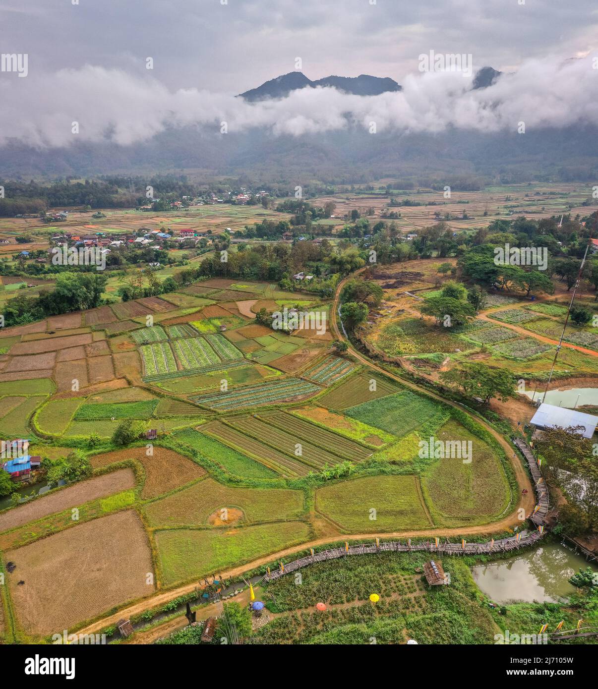 Aerial views of Pua and the rice fields in Nan province, Thailand Stock ...