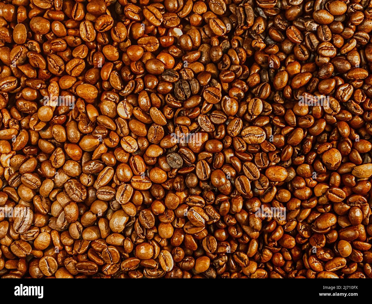 Lots of coffee beans on a uniform background Stock Photo - Alamy