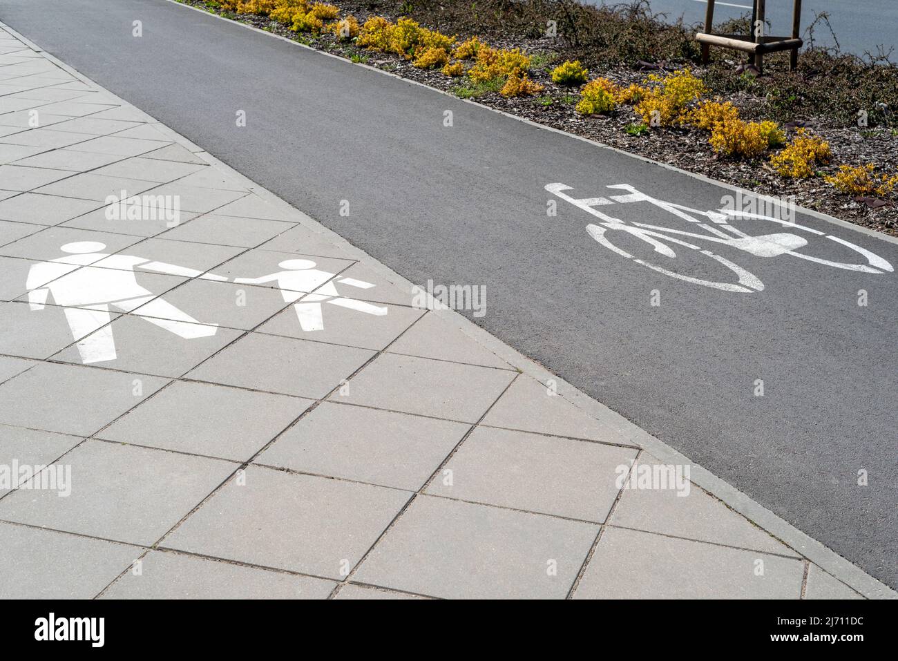 Roadmarking, pedestrian and bicycle signs on the road. Sidewalk for ...