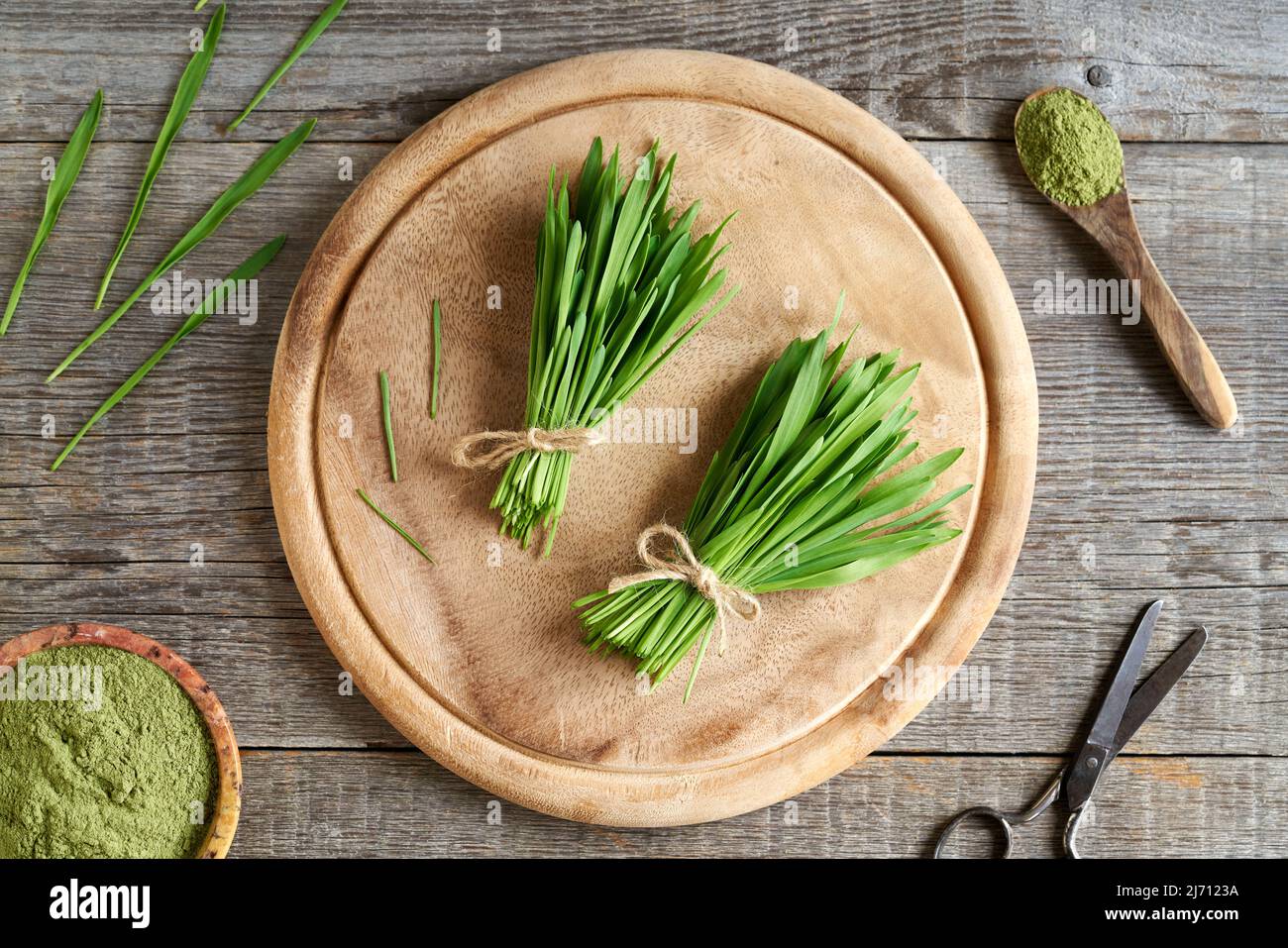 Two bundles of fresh barley grass blades with barleygrass powder, top ...