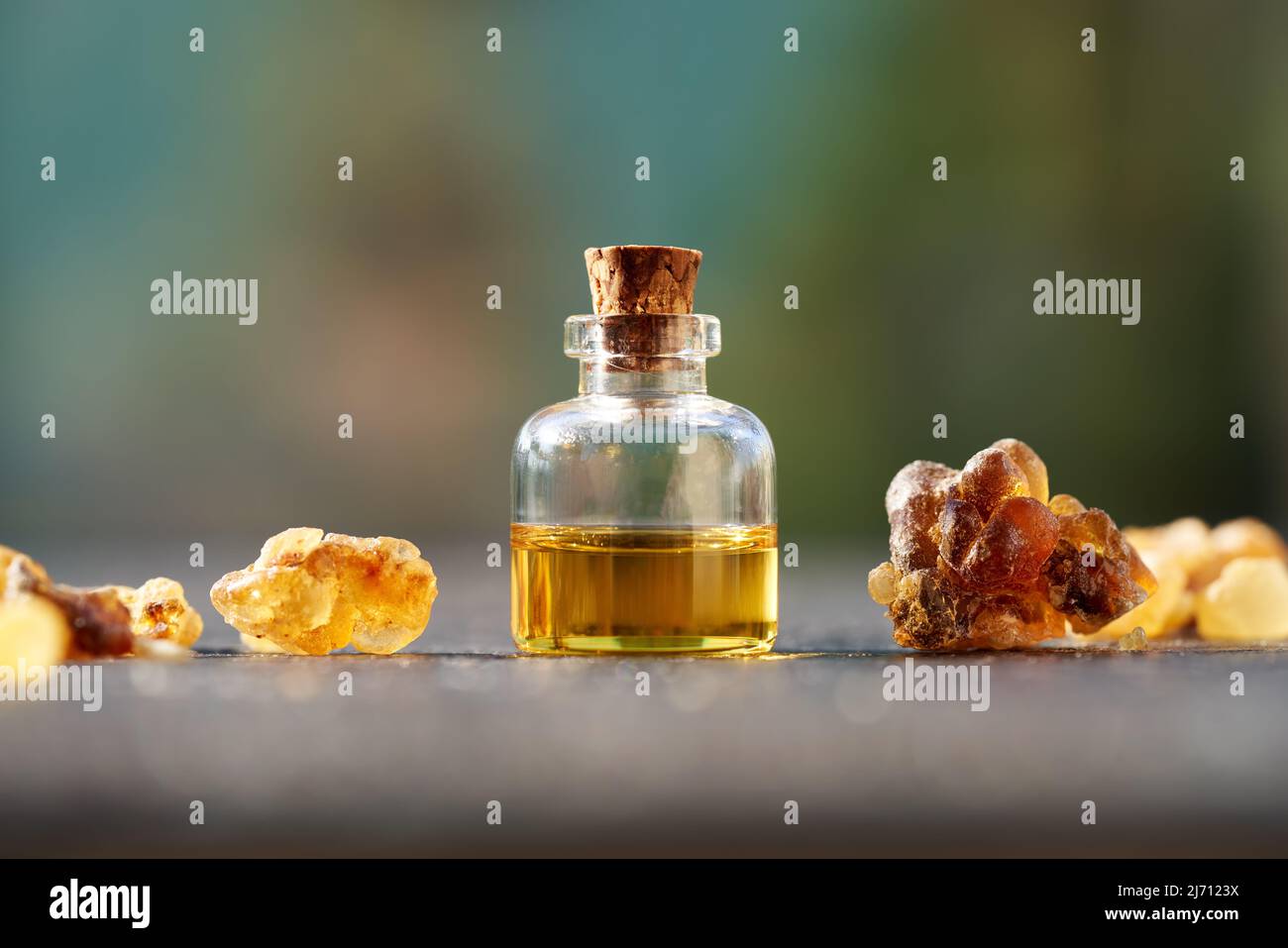 A bottle of aromatherapy essential oil with frankincense resin outdoors ...
