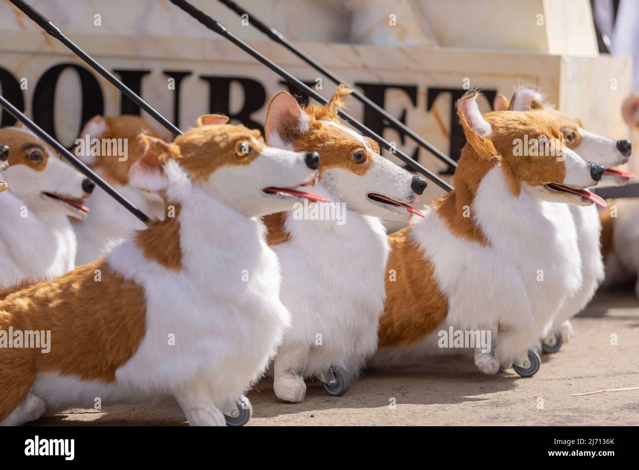 Coventry, UK. 5th May, 2022. Puppet corgis created by Coventry based ...