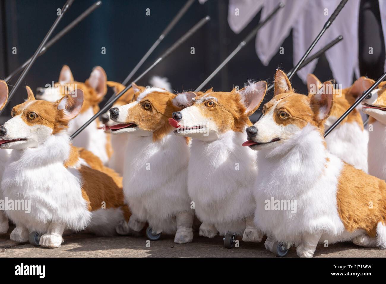 Corgi puppets hi-res stock photography and images - Alamy