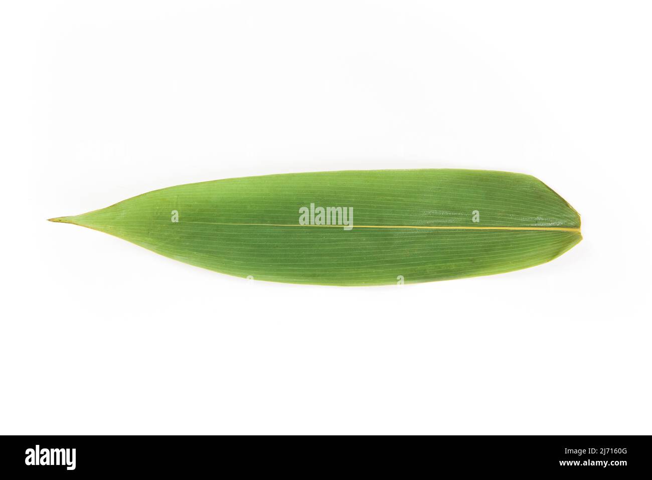 Rice dumpling leaf hi-res stock photography and images - Alamy