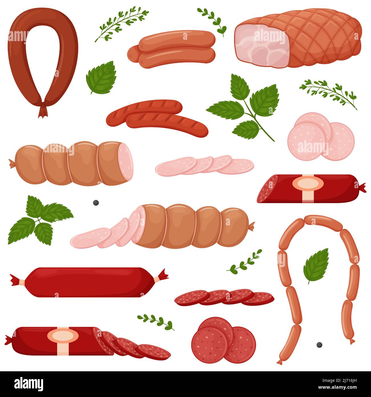 Half salami sausage isolated on Stock Vector Images - Alamy