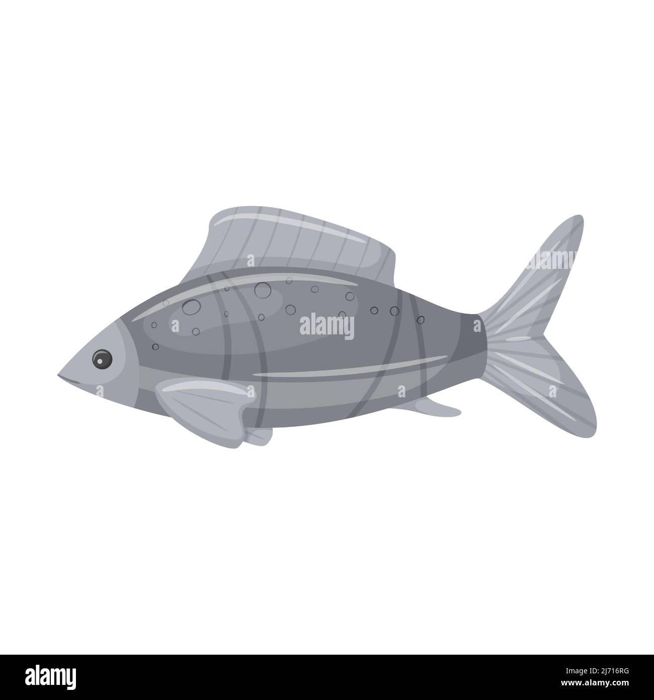 Raw, fresh gray fish. Marine, river animal. Flat cartoon vector ...