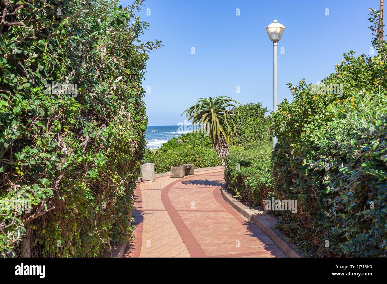 Public walking pathway along beach ocean sea landscape along the green ...