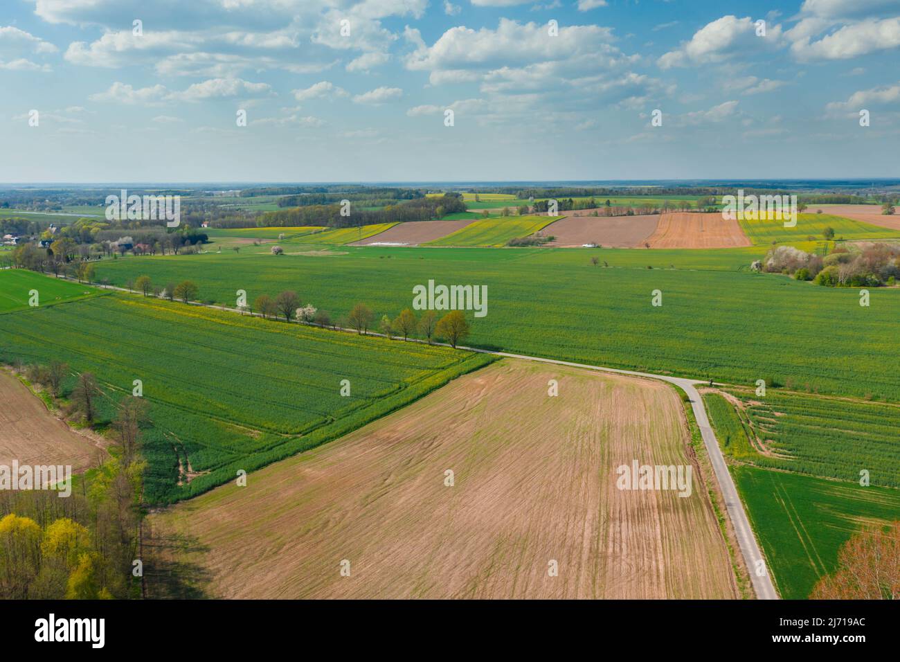 A vast plain covered with arable fields and meadows. You can see clumps ...