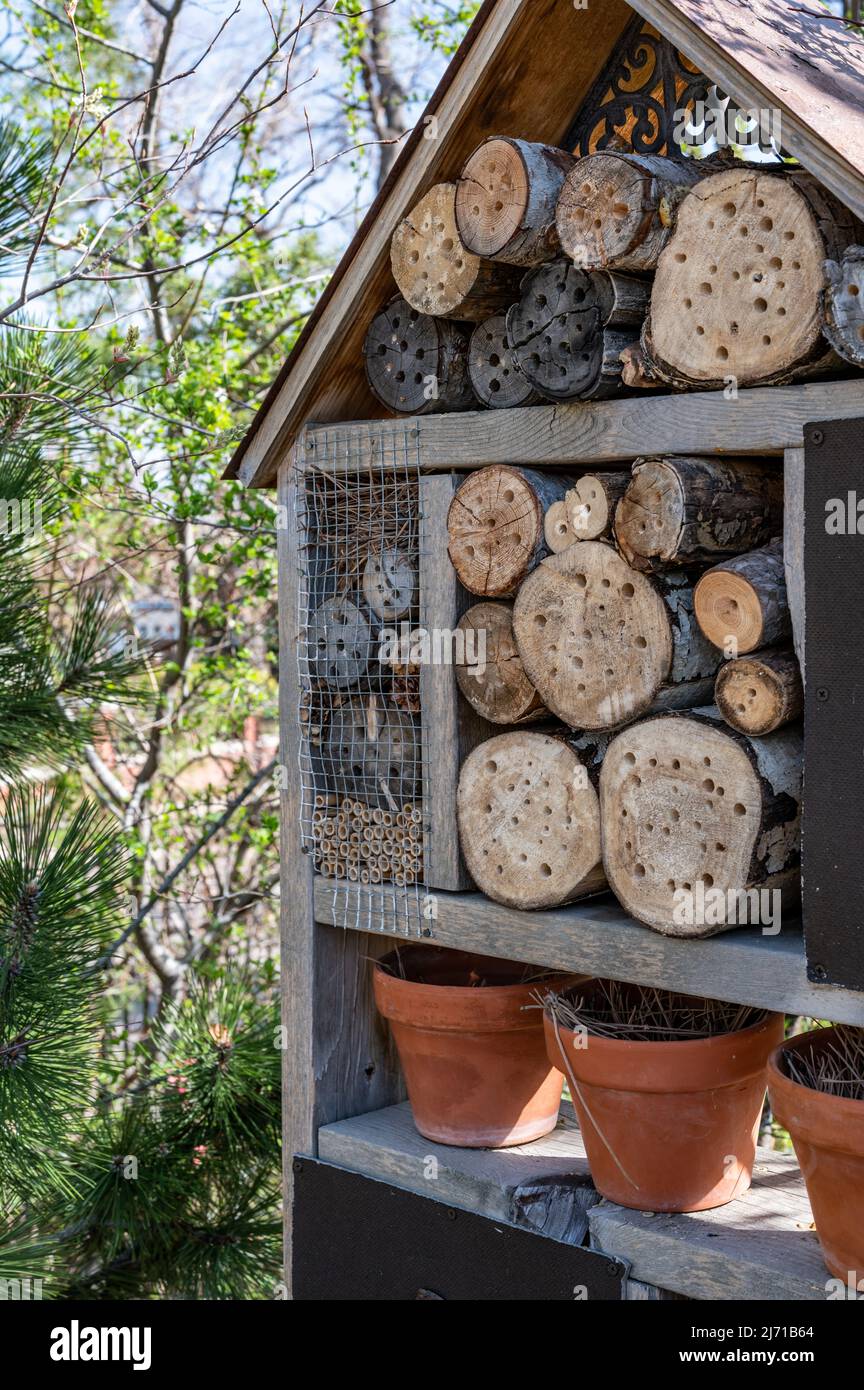 Bee and wasp habitat structure with drilled holes for insects to ...