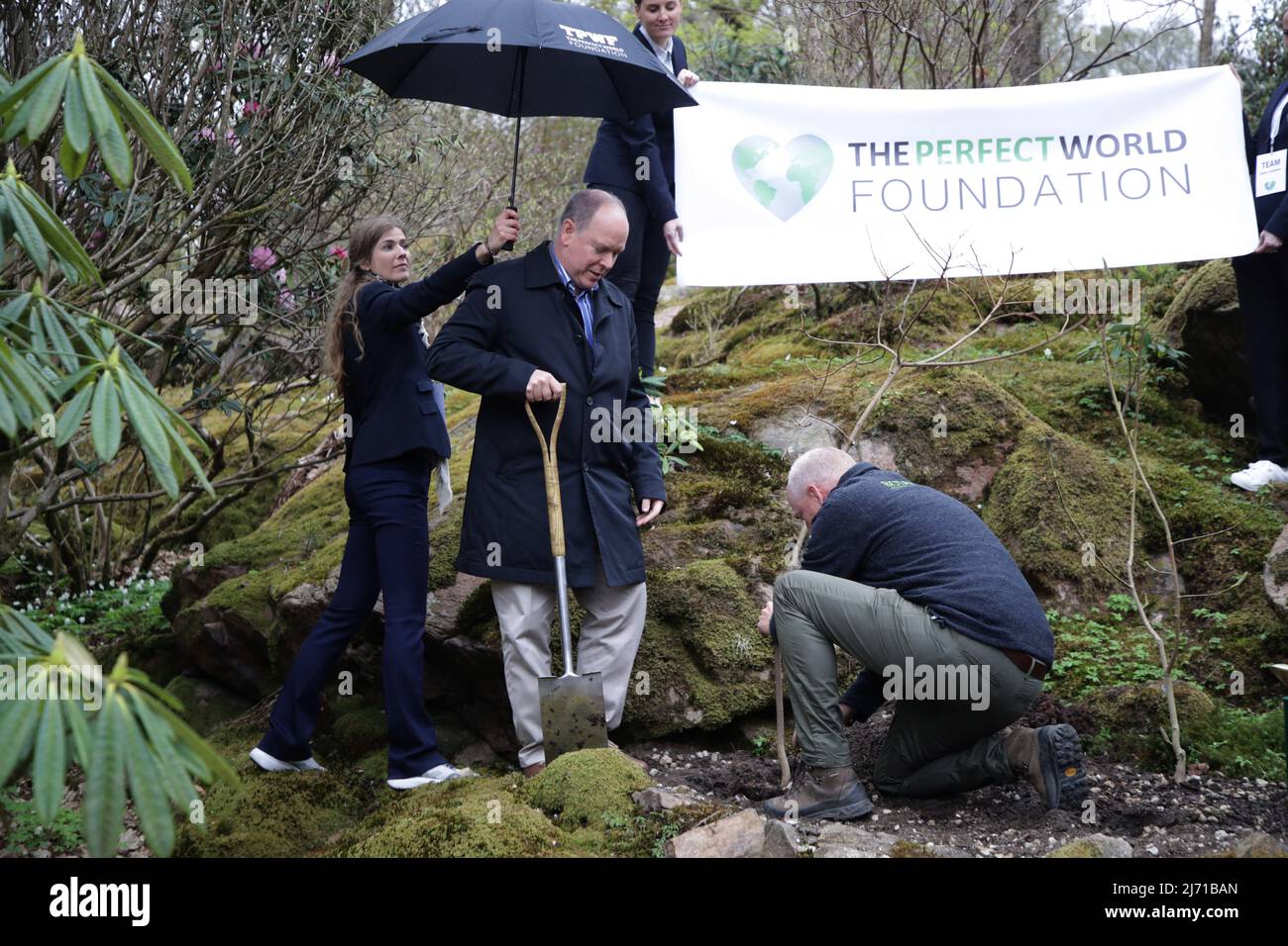 Prince Albert II of Monaco plants a tree in Gothenburg Botanical Garden ...
