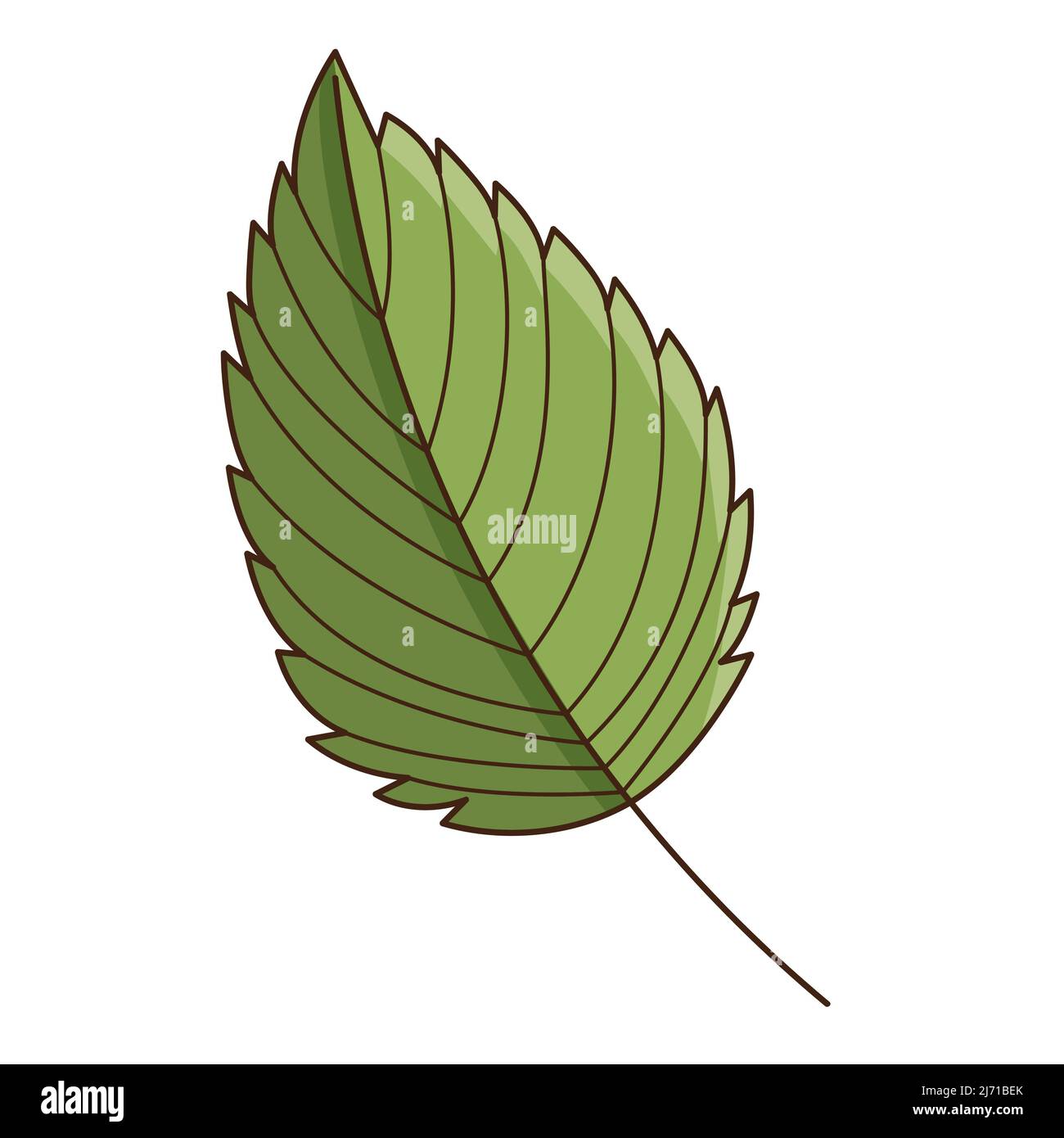 Cute doodle summer season Stock Vector Images - Alamy