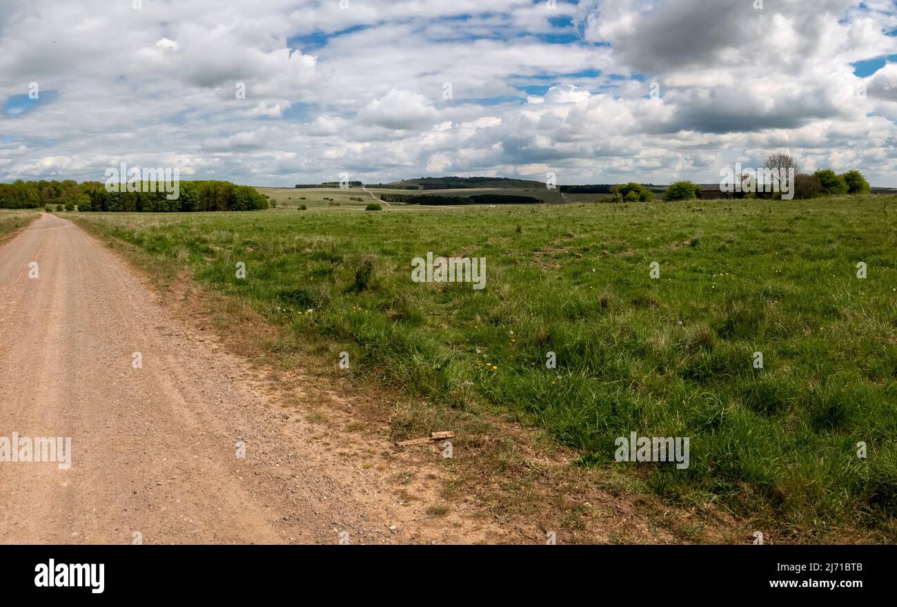 A scenic panoramic view toward a tump, Sidbury Hill on Salisbury Plain ...