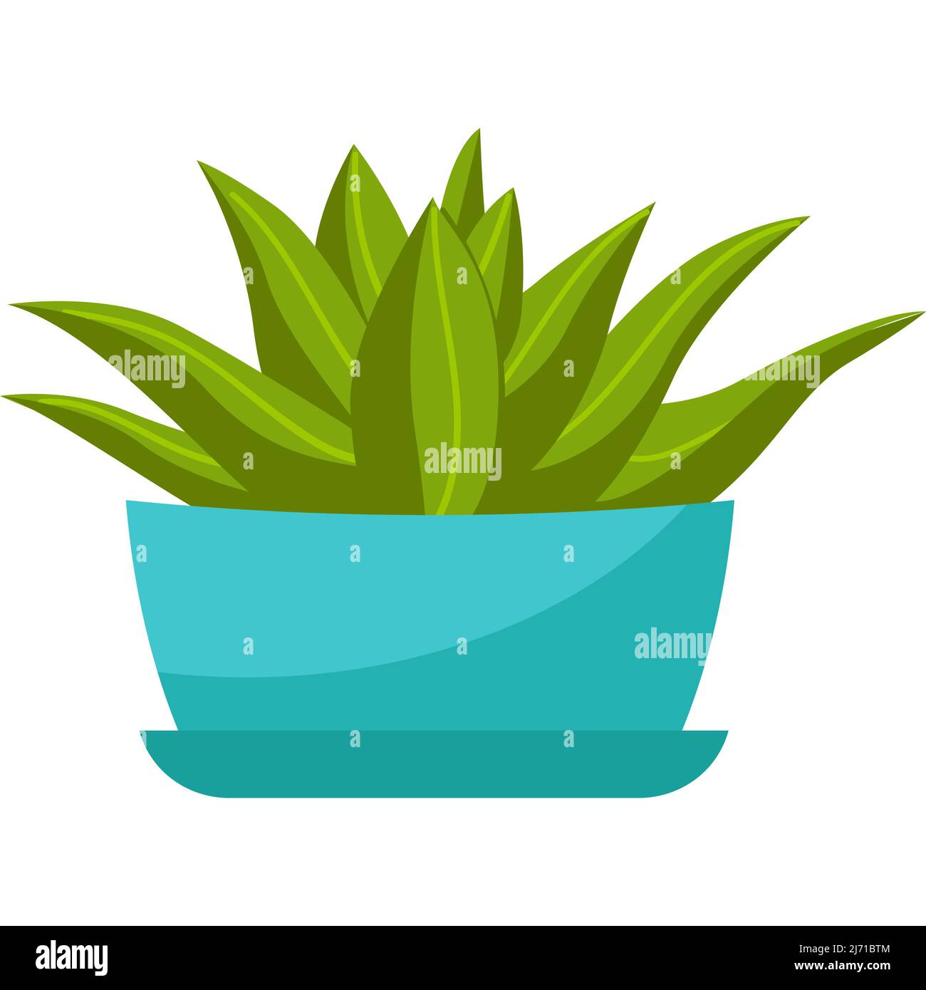 Home gardening aloe vera Stock Vector Images - Alamy