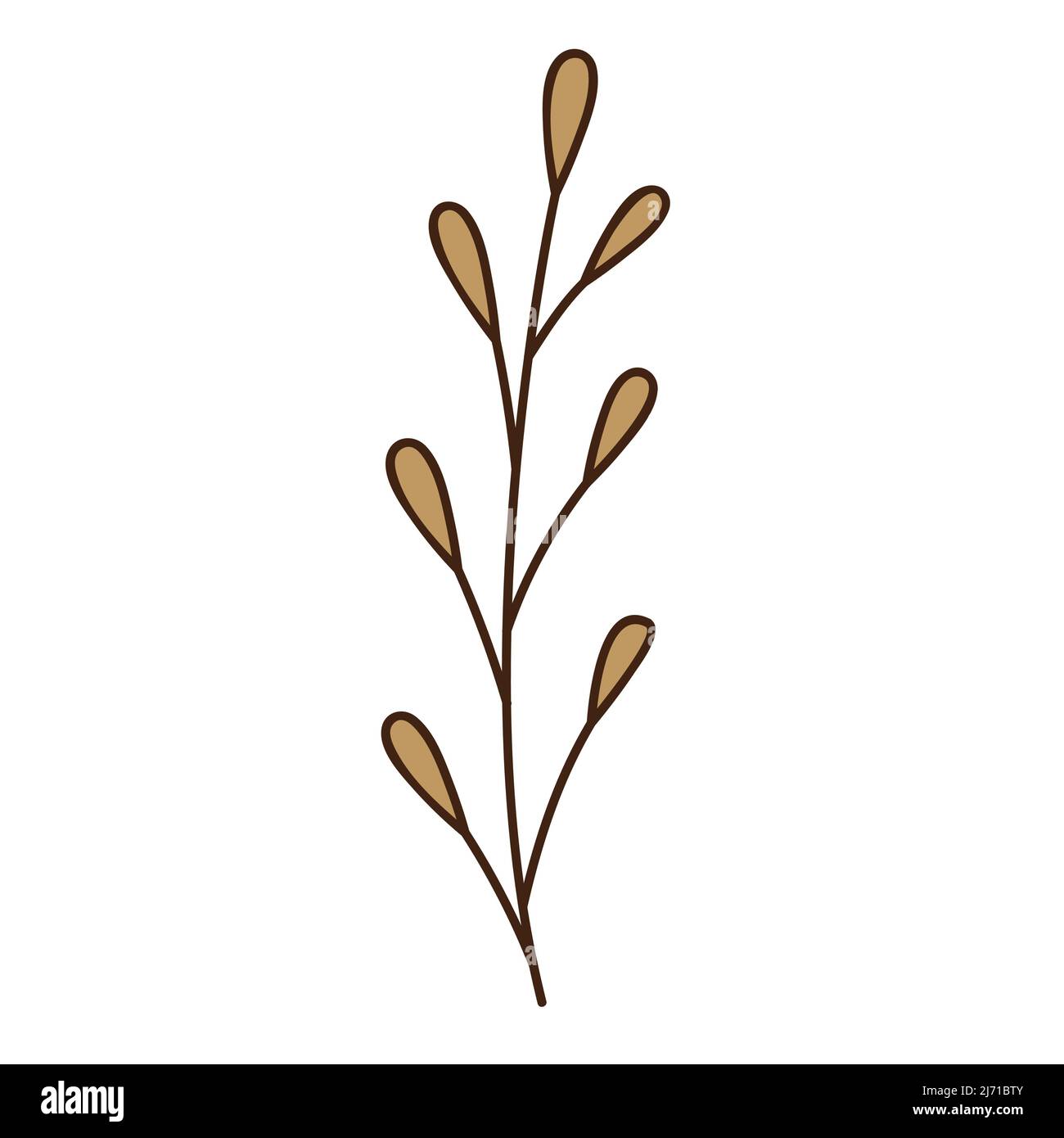 Flat blade leaves Cut Out Stock Images & Pictures - Alamy