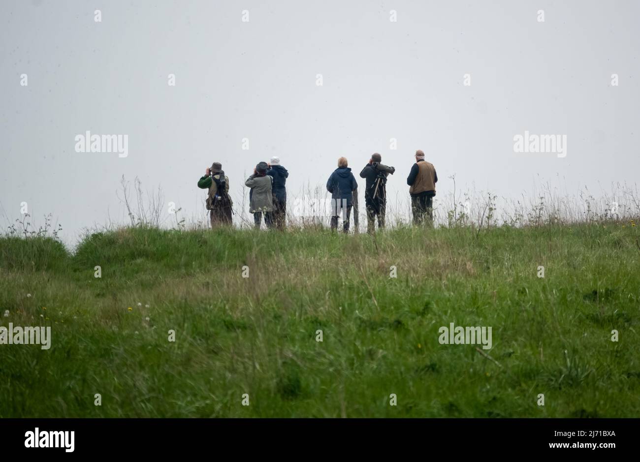 a group of bird watchers (twitchers) gather in search of a reported ...