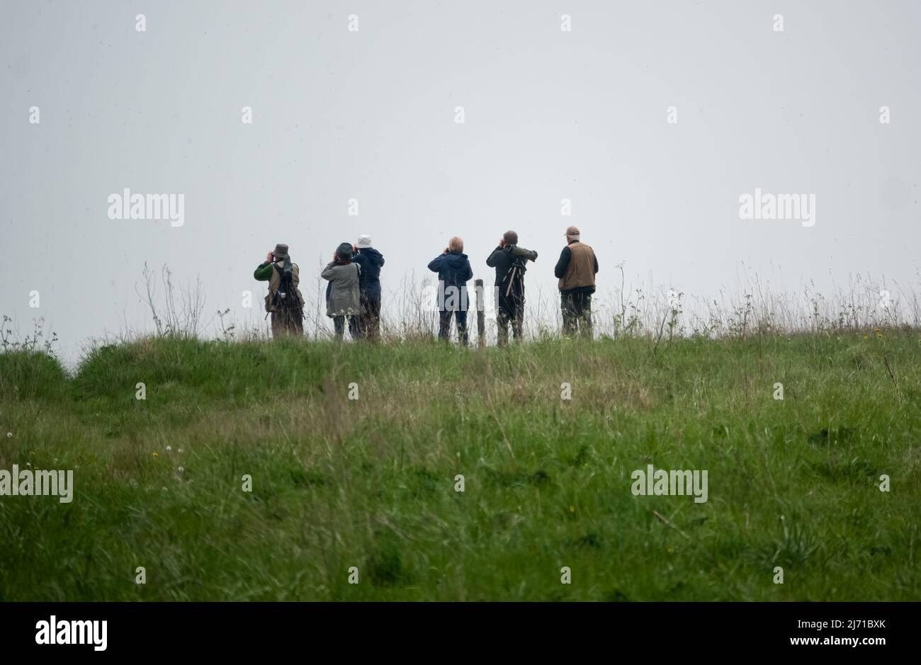 a group of bird watchers (twitchers) gather in search of a reported ...