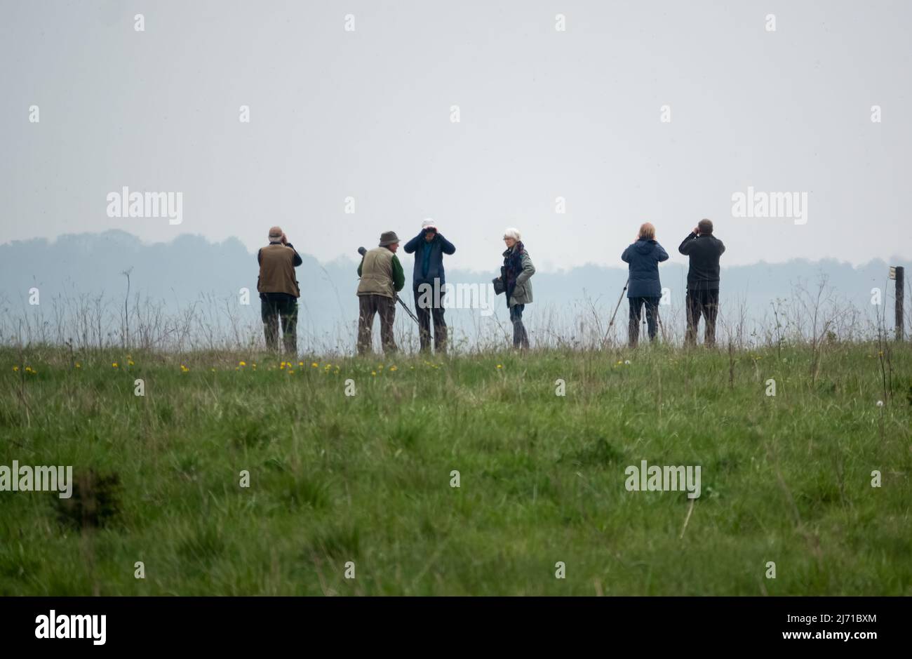 a group of bird watchers (twitchers) gather in search of a reported ...