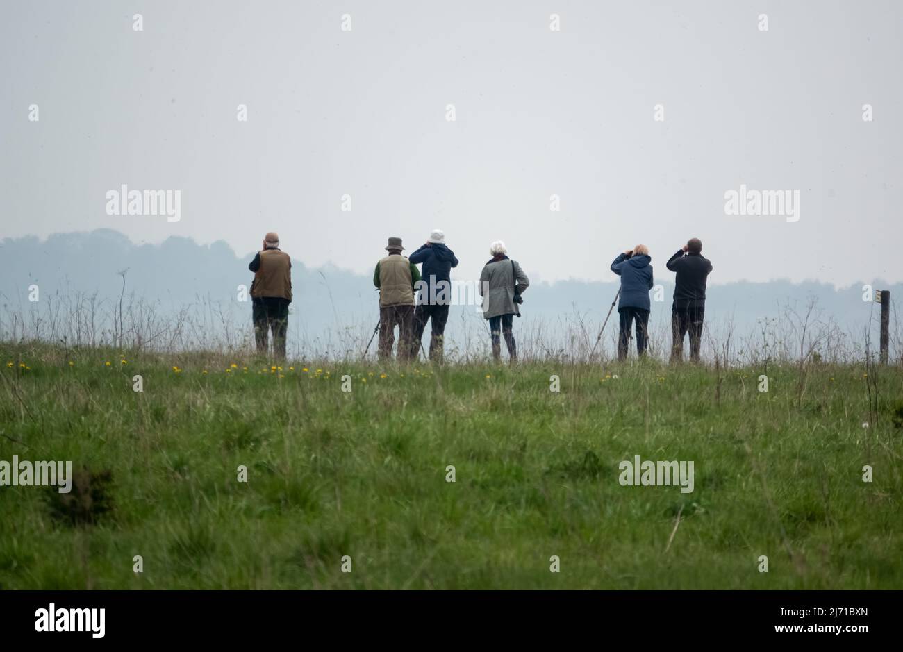 a group of bird watchers (twitchers) gather in search of a reported ...