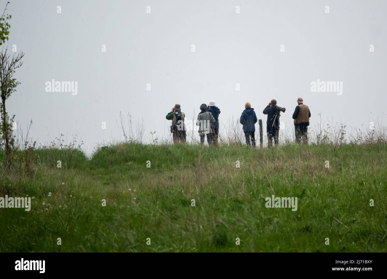 a group of bird watchers (twitchers) gather in search of a reported ...