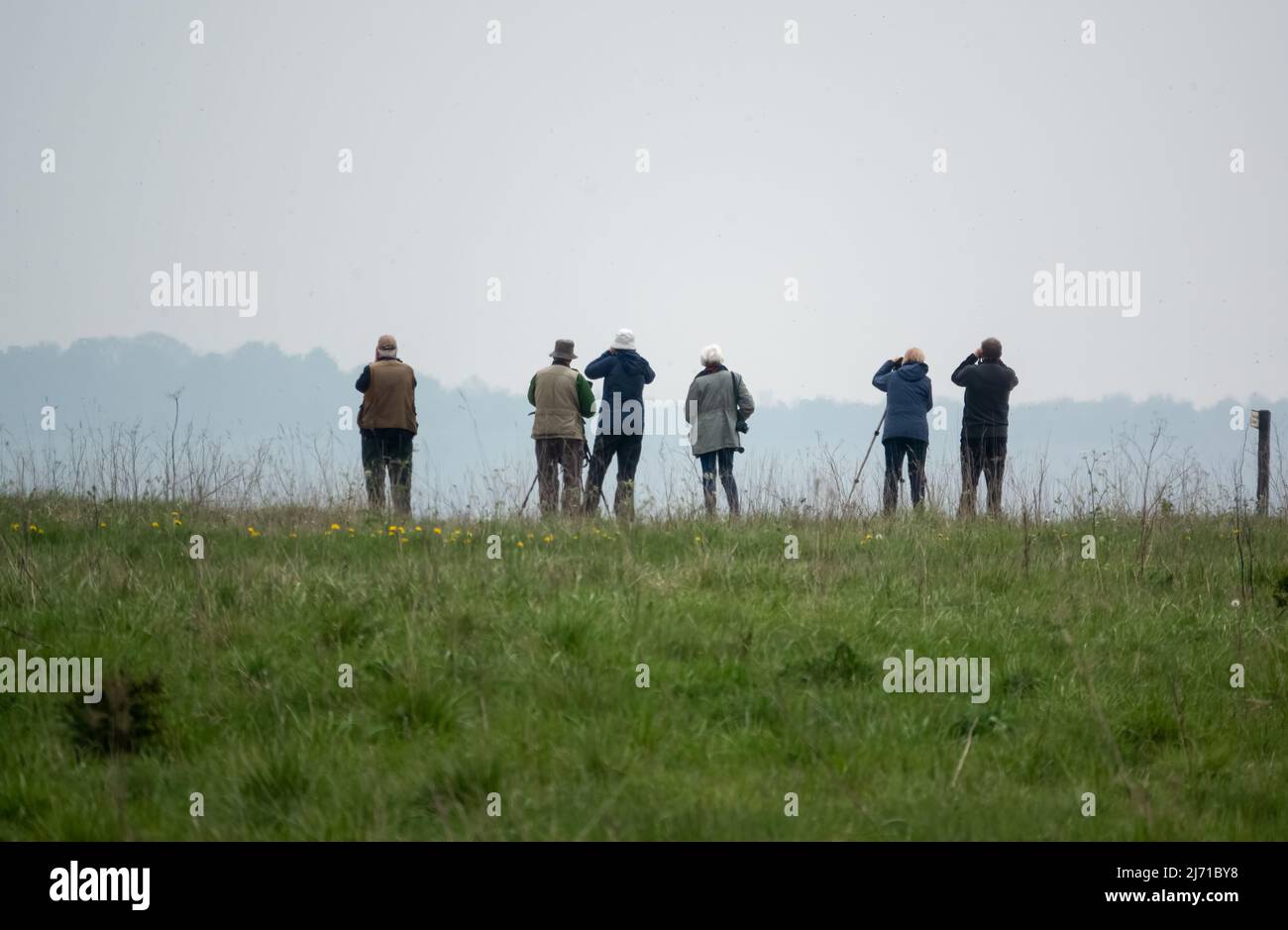 a group of bird watchers (twitchers) gather in search of a reported ...