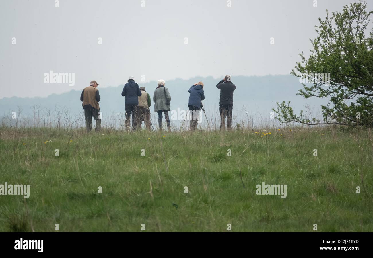 a group of bird watchers (twitchers) gather in search of a reported ...