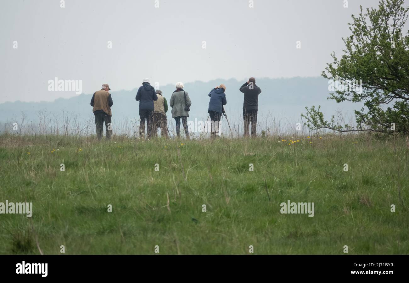 a group of bird watchers (twitchers) gather in search of a reported ...