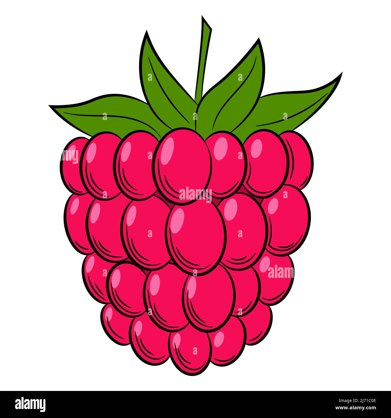 Raspberry Clip Art