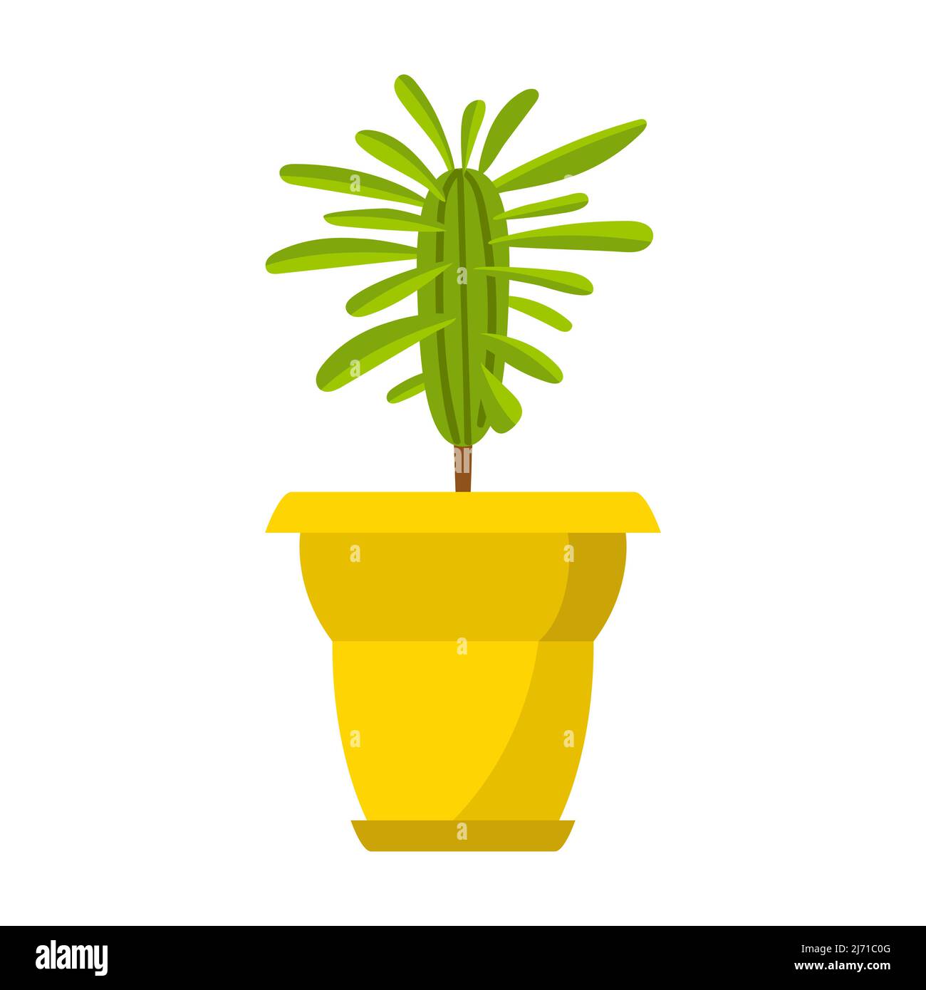 Houseplant, Milkweed in a yellow pot. Home deciduous plant. Vector ...
