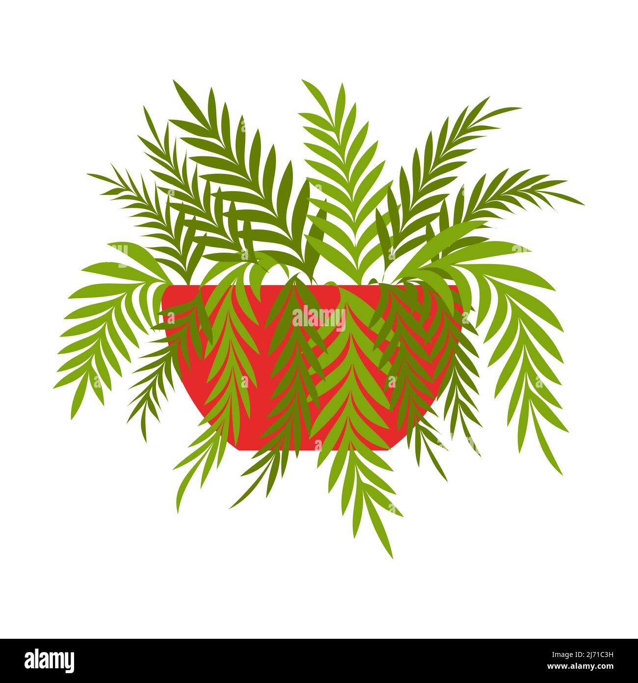 Red Fern Plant Clip Art