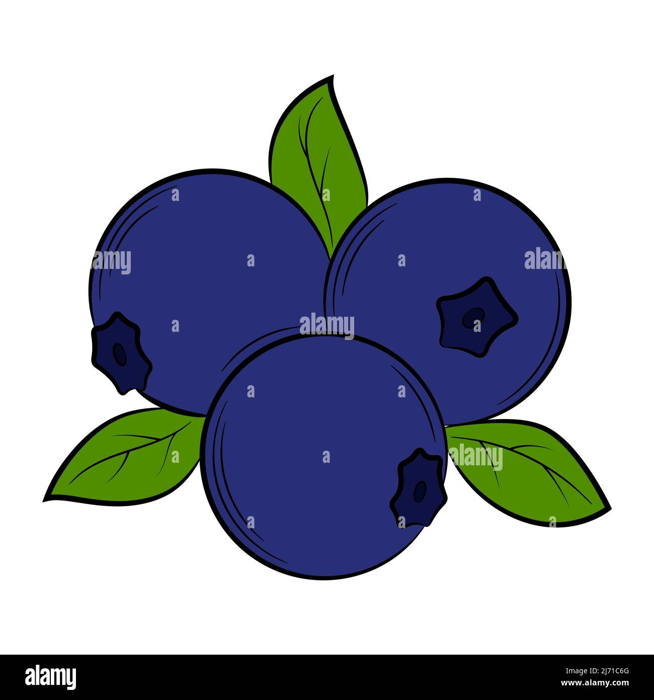 Cartoon Wild Berries