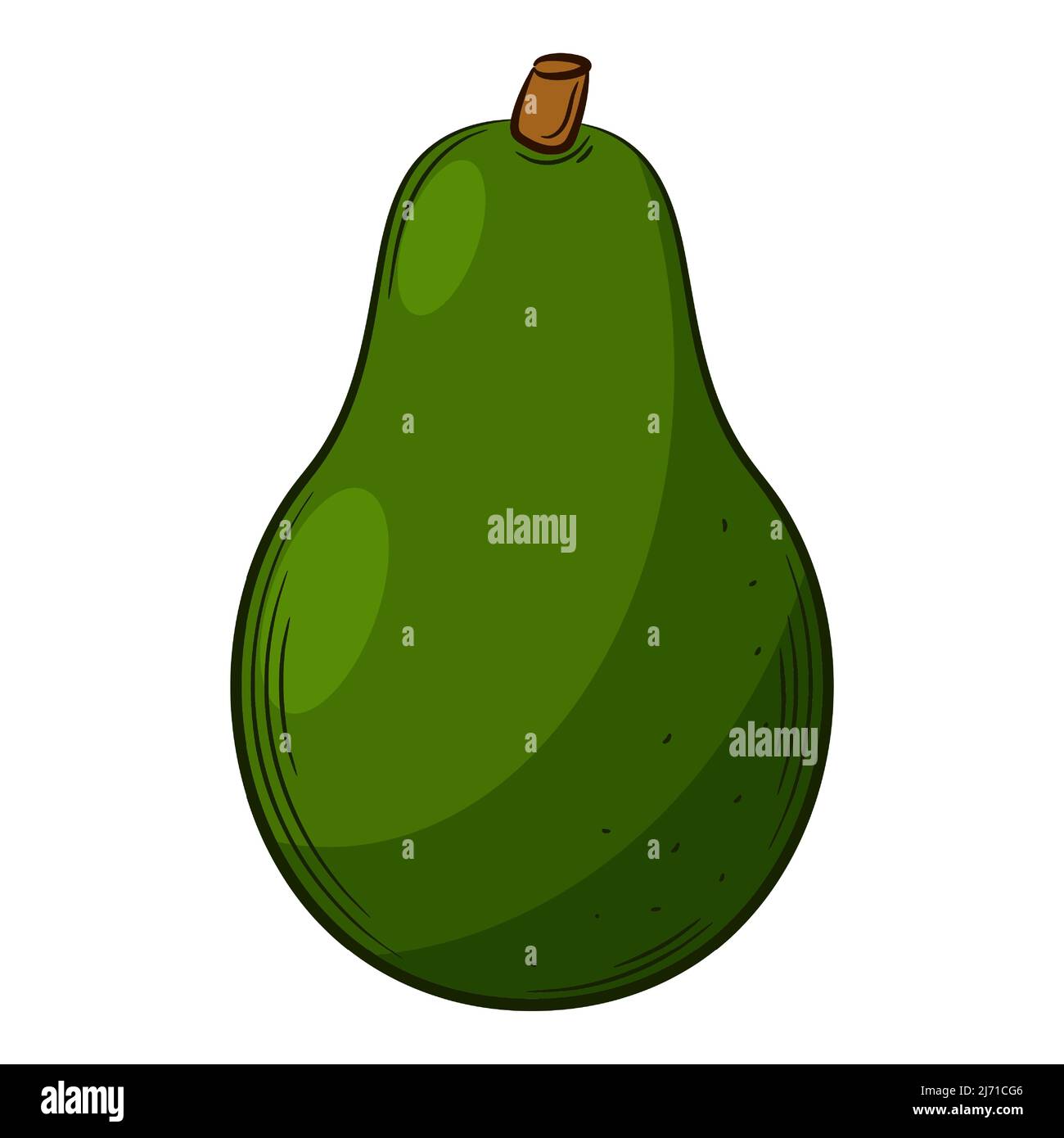Avocado. A vegetable in a linear style, drawn by hand. Food ingredient ...