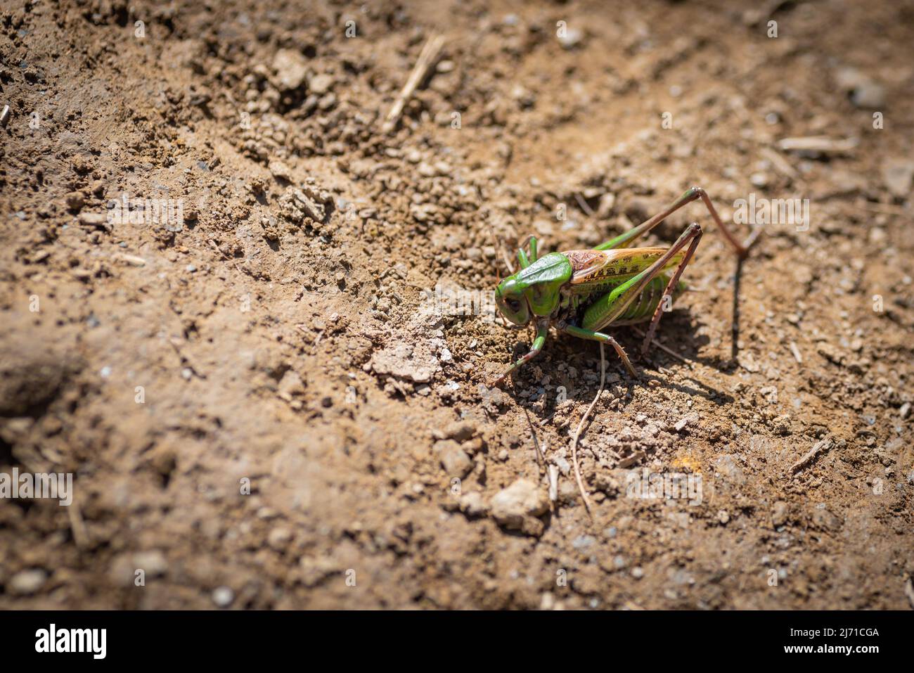 Earth without water hi-res stock photography and images - Alamy