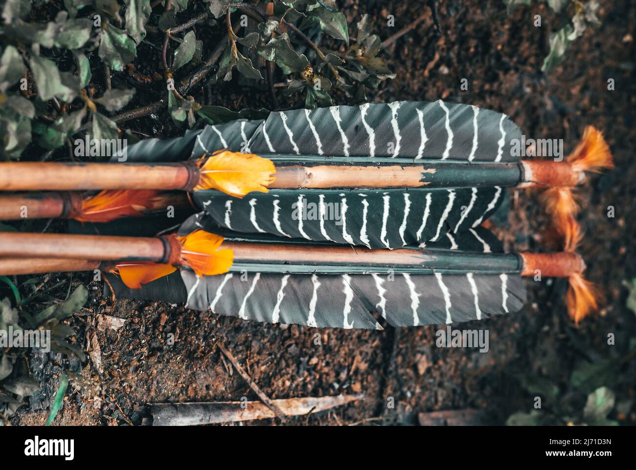 Indian arrows hi-res stock photography and images - Alamy